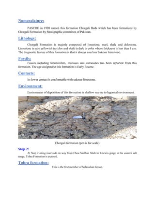 Filed report of salt range | PDF