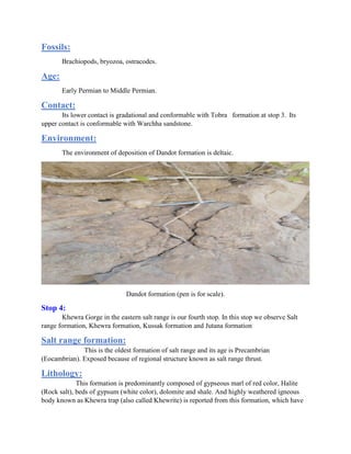 Filed report of salt range | PDF