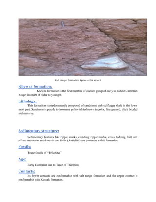 Filed report of salt range | PDF