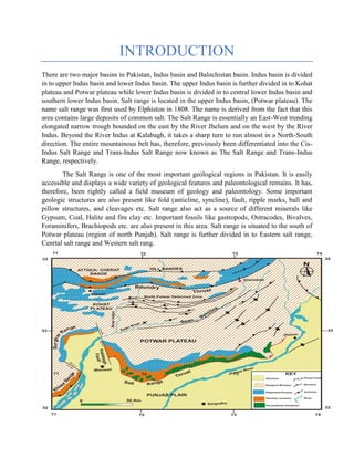 Filed report of salt range | PDF