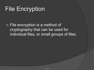 File Encryption | PPTX | Data Storage and Warehousing | Computing