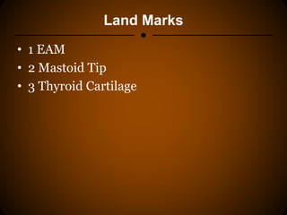 Land Marks of Skull Radiography for Bsc Students | PPTX