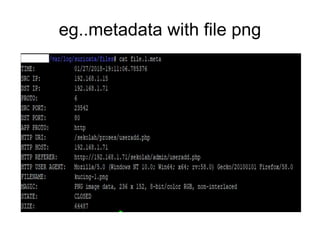 Fileextraction with suricata | PPT