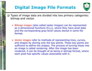 Digital Image processings - file formats | PDF
