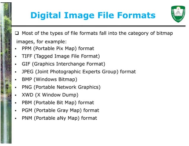 Digital Image processings - file formats | PDF