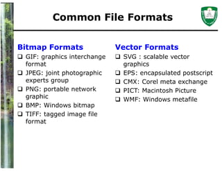 Digital Image processings - file formats | PDF