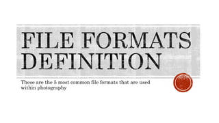 File Format Definition | PPT | Free Download