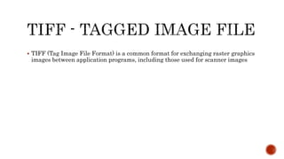 File Format Definition | PPT