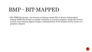 File Format Definition | PPT
