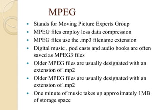 fileformatsanditstypes-140131084629-phpapp01 (1).pdf