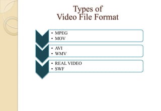 fileformatsanditstypes-140131084629-phpapp01 (1).pdf
