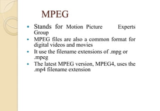 fileformatsanditstypes-140131084629-phpapp01 (1).pdf