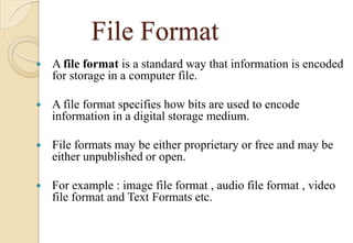 fileformatsanditstypes-140131084629-phpapp01 (1).pdf