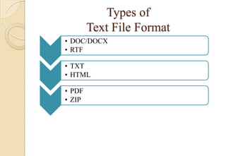 fileformatsanditstypes-140131084629-phpapp01 (1).pdf