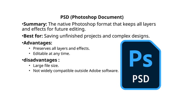 File Formats in Photoshop application.pptx