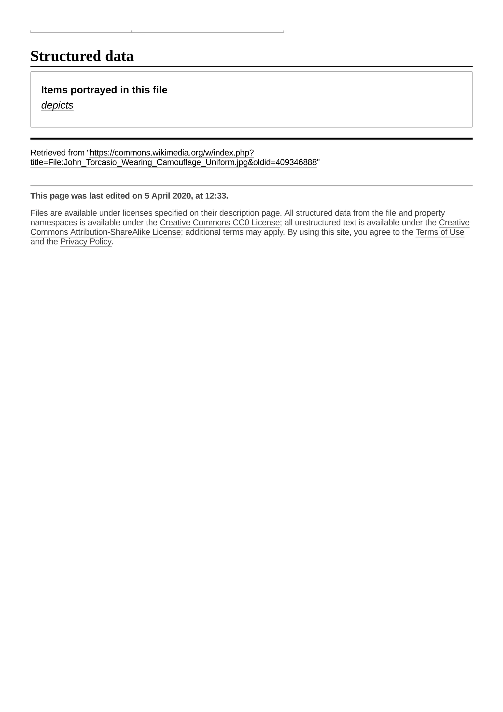 John Torcasio: wearing camouflage uniform. | PDF