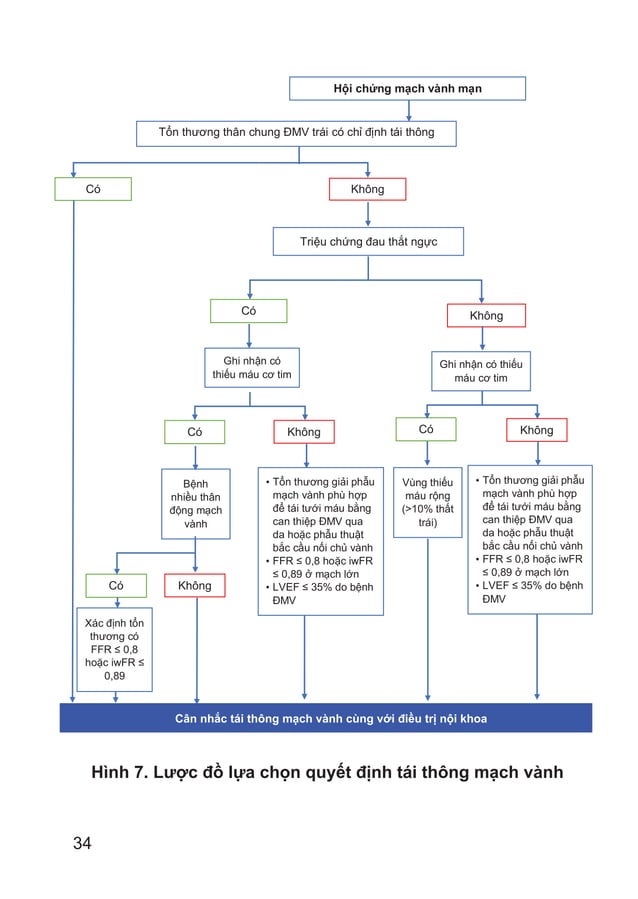 Khuyến cáo về Chẩn đoán và quản lý hội chứng động mạch vành mạn 2022 Hội Tim mạch học Việt Nam | PDF