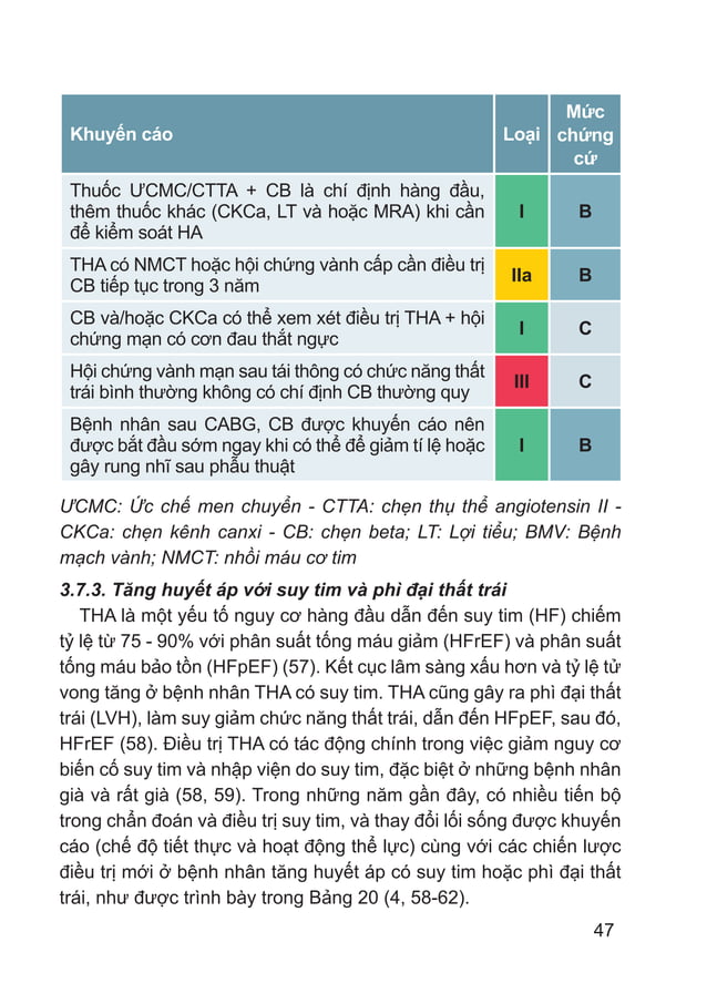 Khuyến cáo về Chẩn đoán và điều trị tăng huyết áp 202 Hội Tim mạch học Việt Nam | PDF