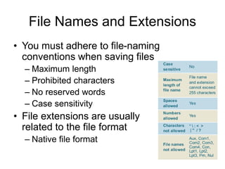 file management.ppt