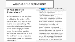 A brief introduction on File management.pptx