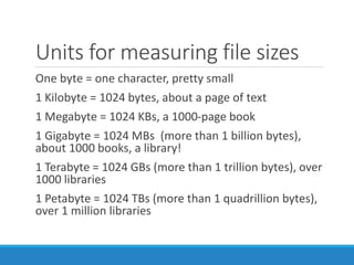 File Management (1).pptx