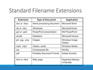 File Management (1).pptx