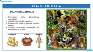 Taxonomía animal, reino animal y criterios de clasificación | PDF