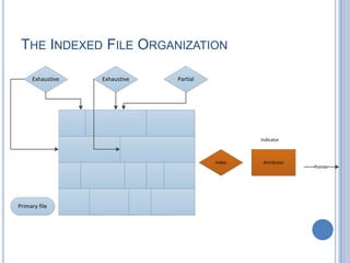 File Organization | PPTX