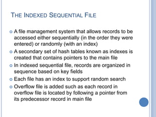 File Organization | PPTX
