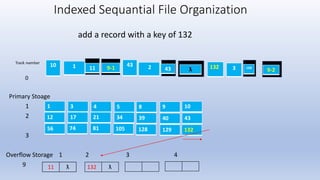 File organization | PPTX
