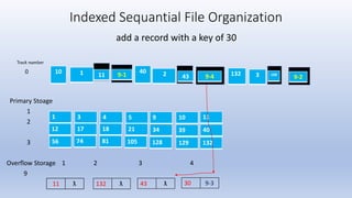 File organization | PPTX
