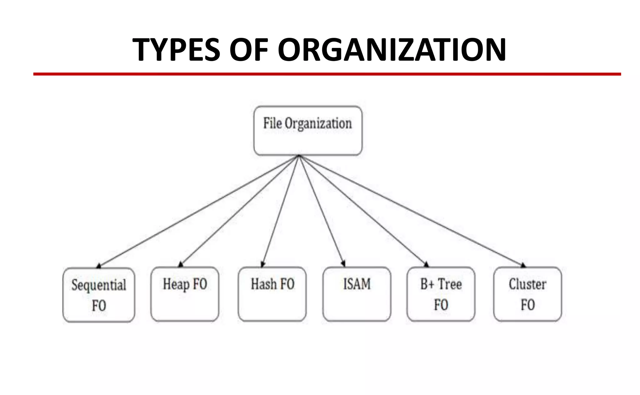 FILE ORGANIZATION.pptx