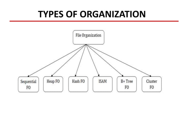 FILE ORGANIZATION.pptx