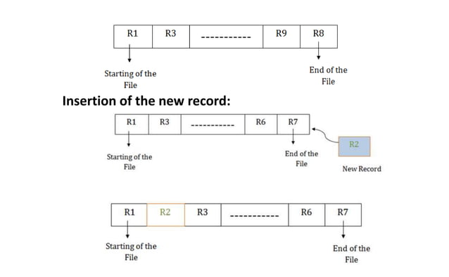 FILE ORGANIZATION.pptx