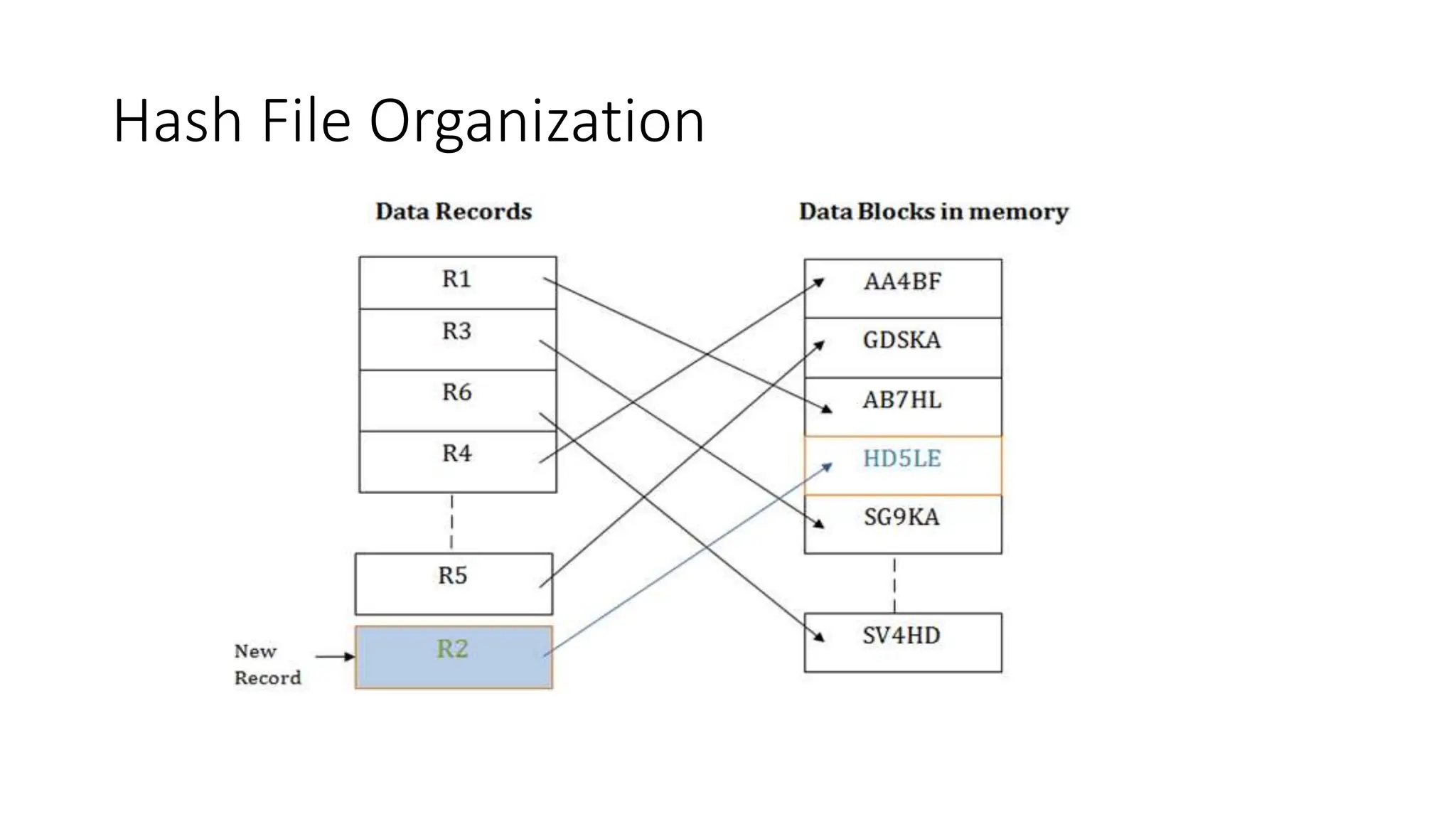 FIle Organization.pptx