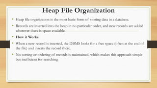 File Organization in database management.pptx