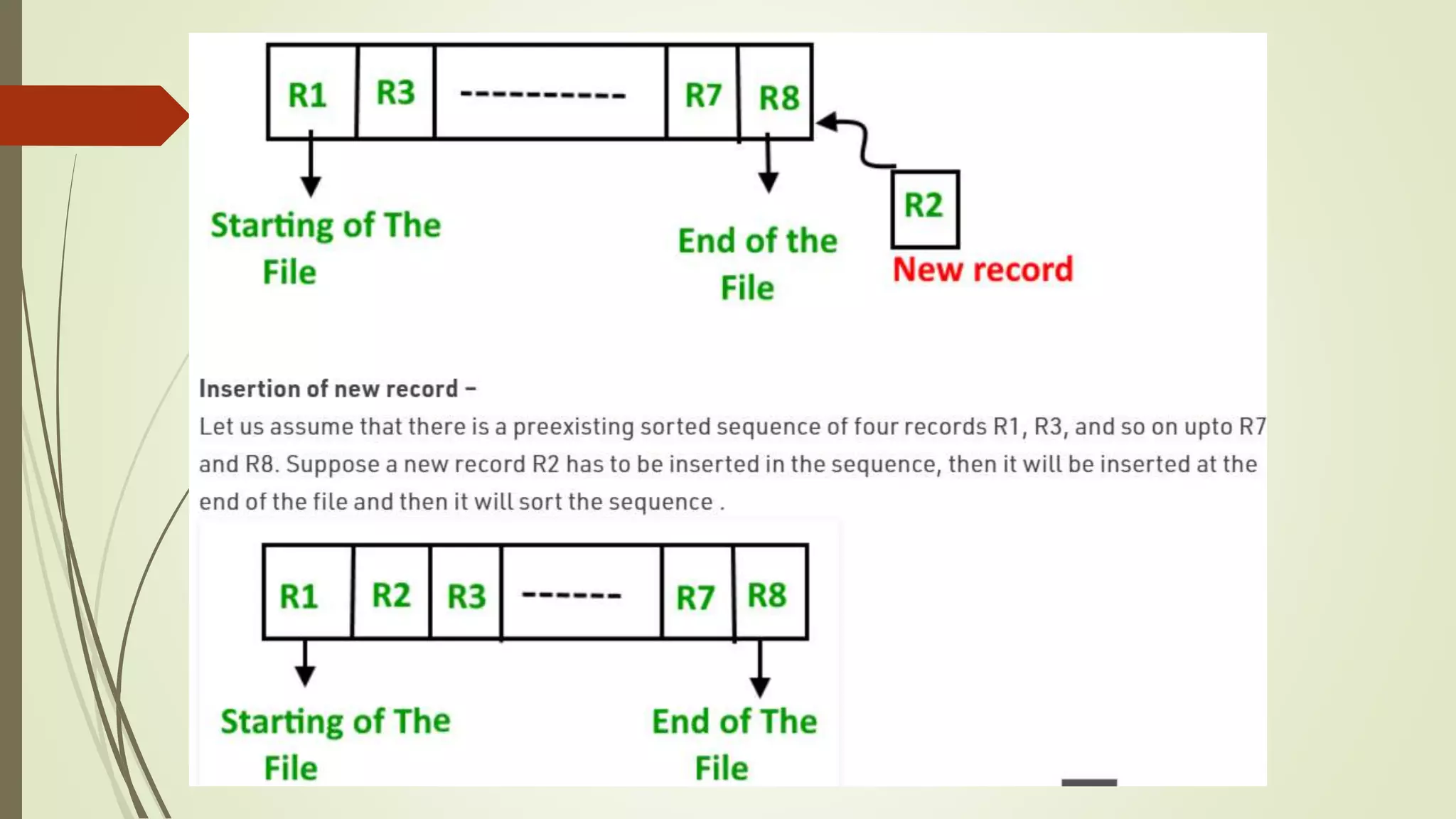 File organization and introduction of DBMS | PPTX