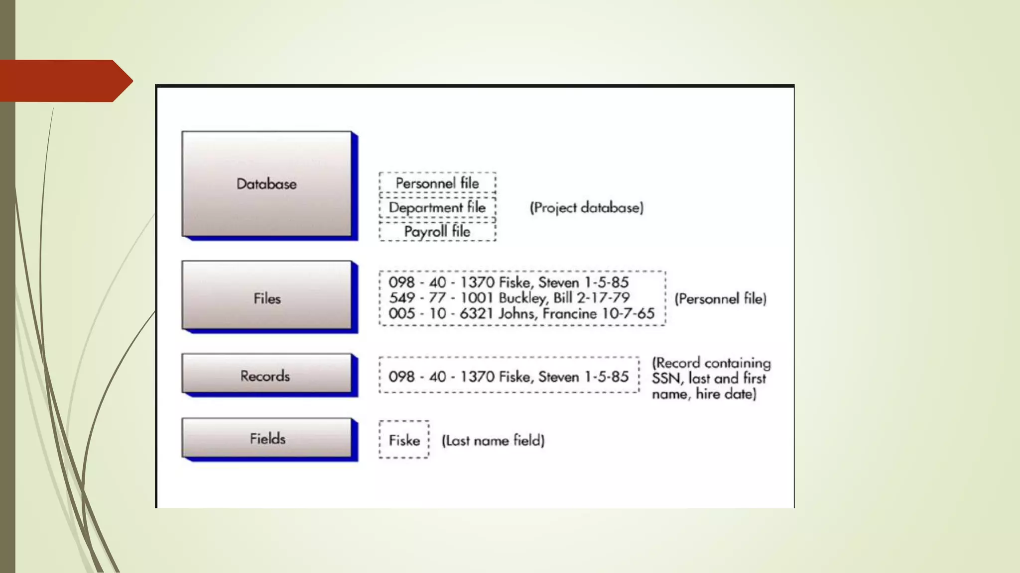 File organization and introduction of DBMS | PPTX