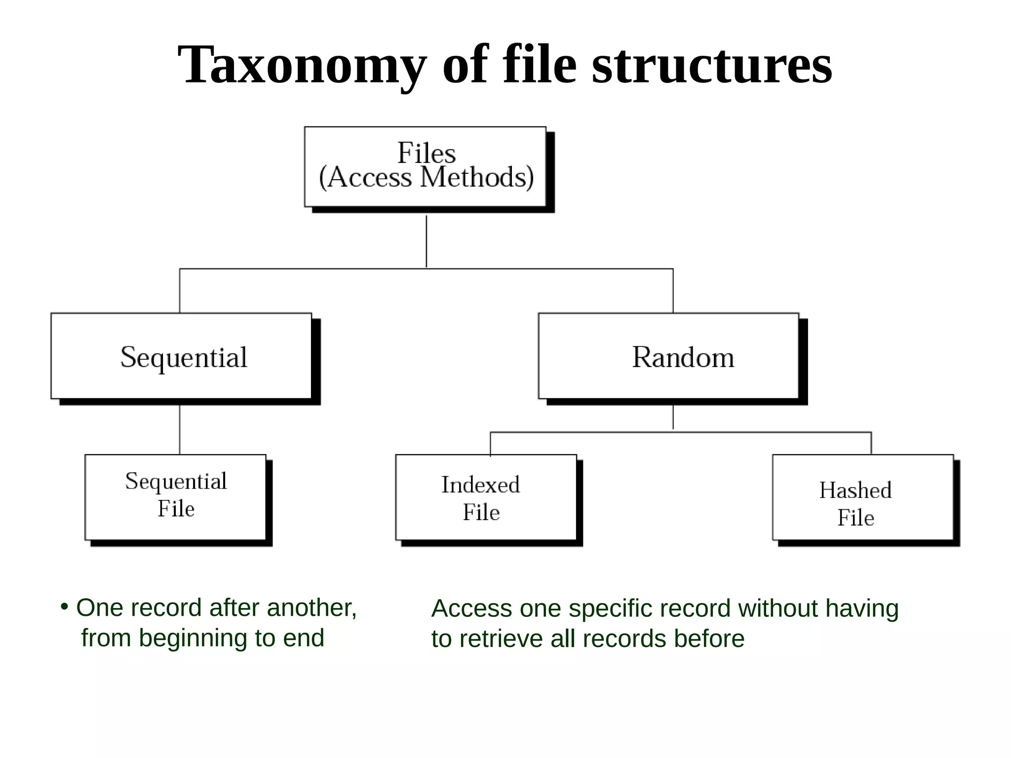 File organization | PDF