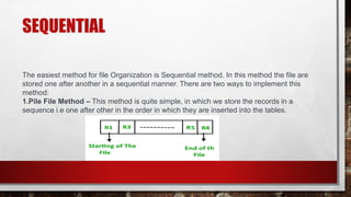 File organization (part 1) | PPTX