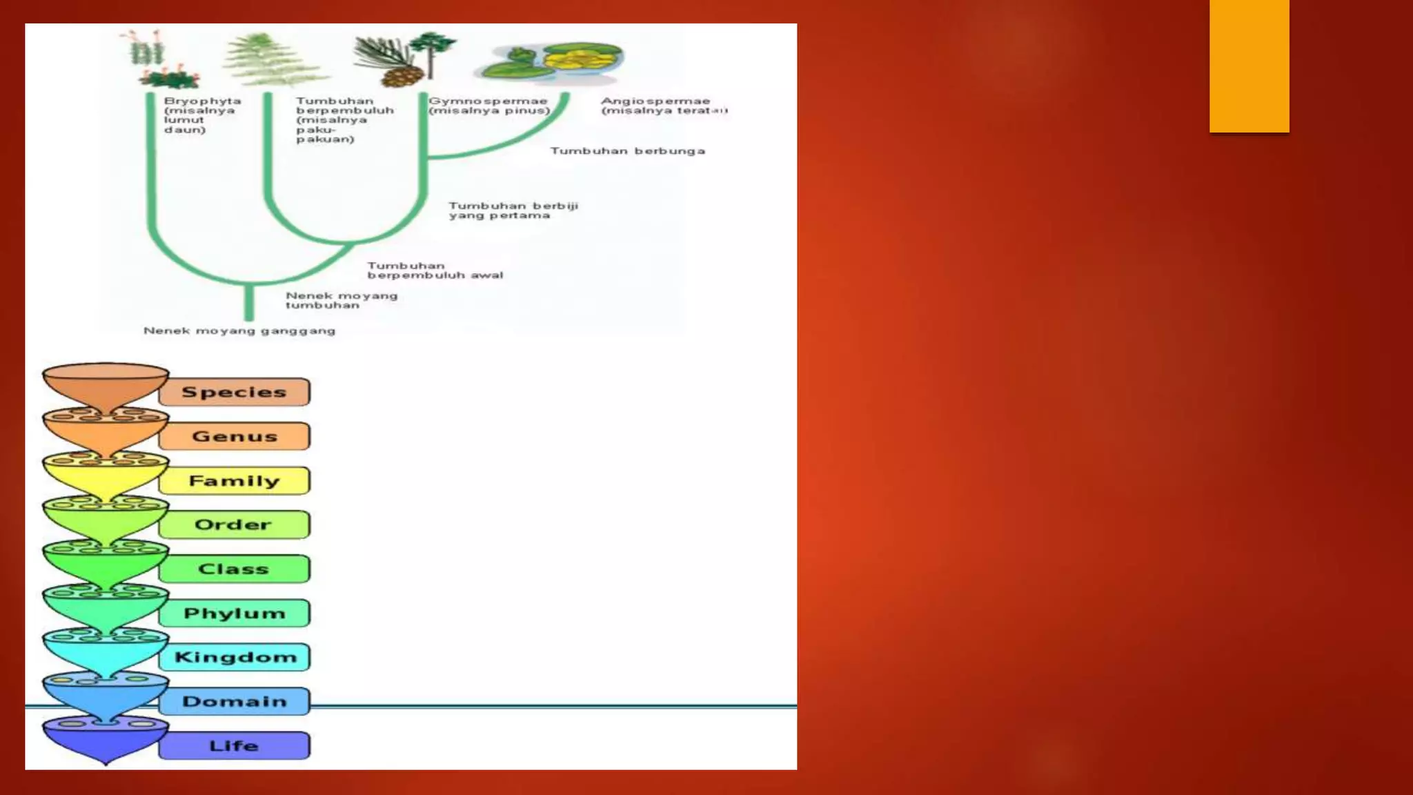 File ppt klasifikasi makhluk hidup kelas x | PPTX