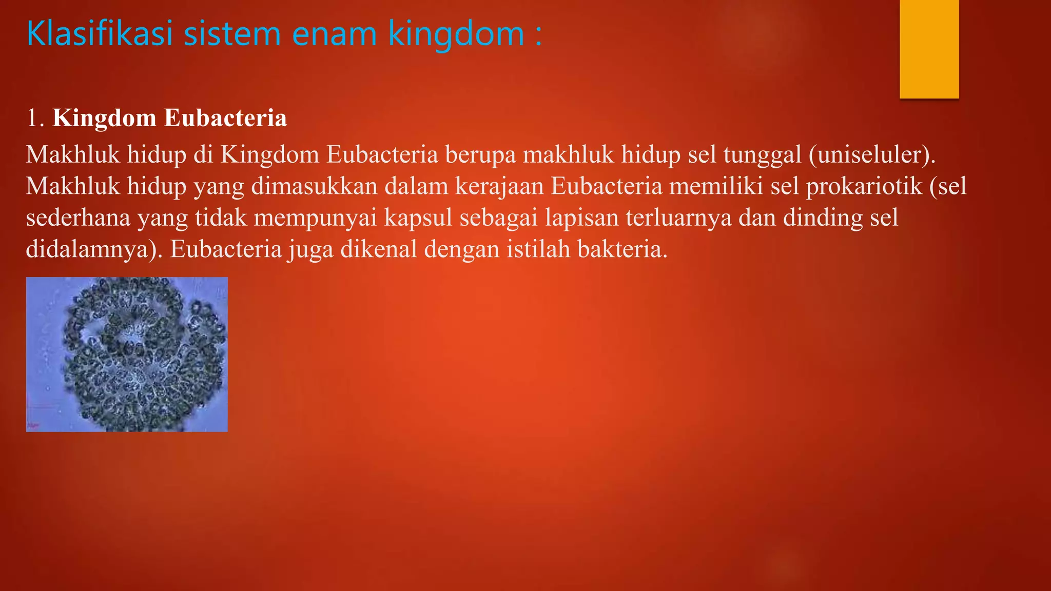 File ppt klasifikasi makhluk hidup kelas x | PPTX