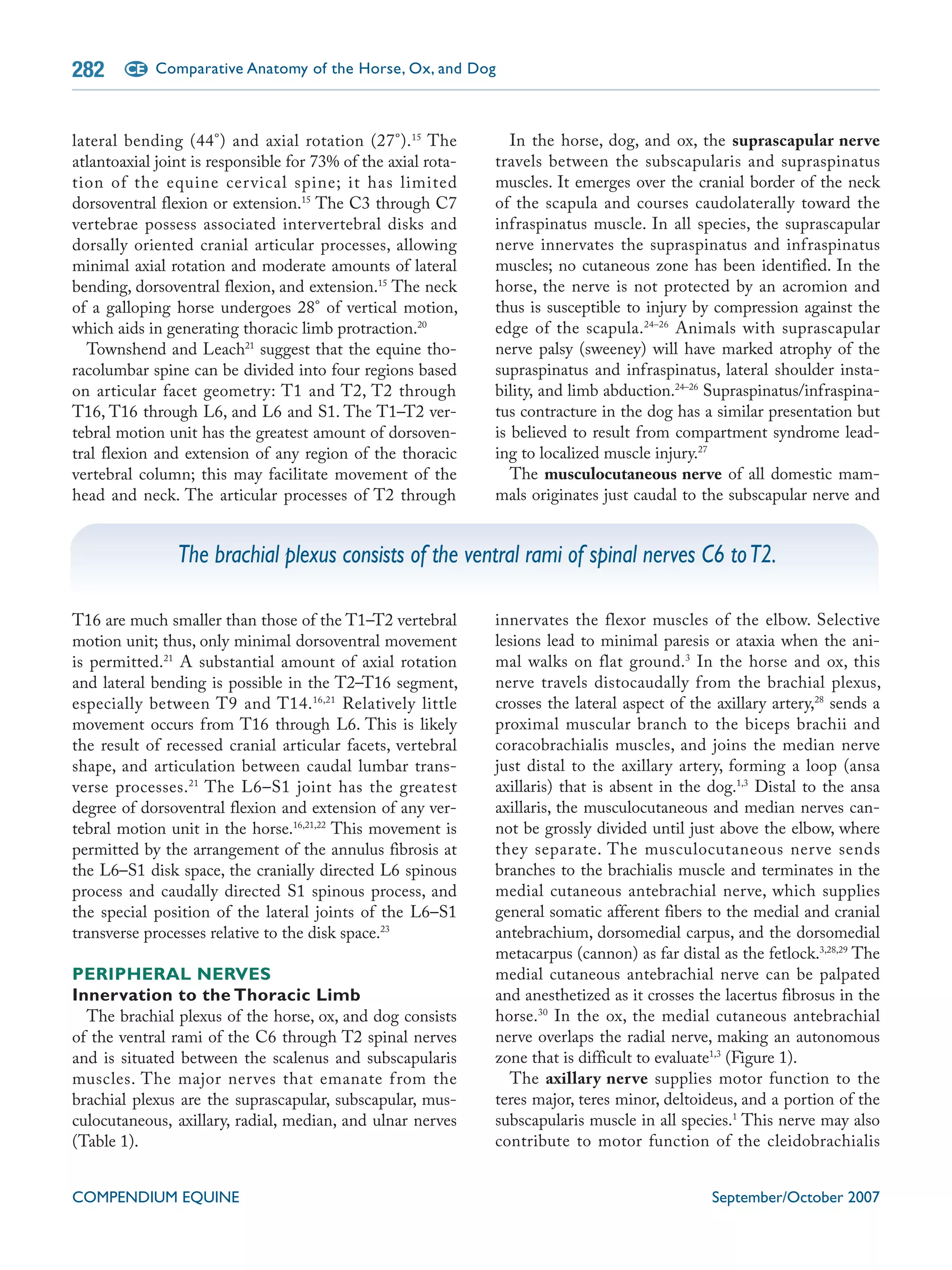 COMPARATIVE ANATOMY | PDF