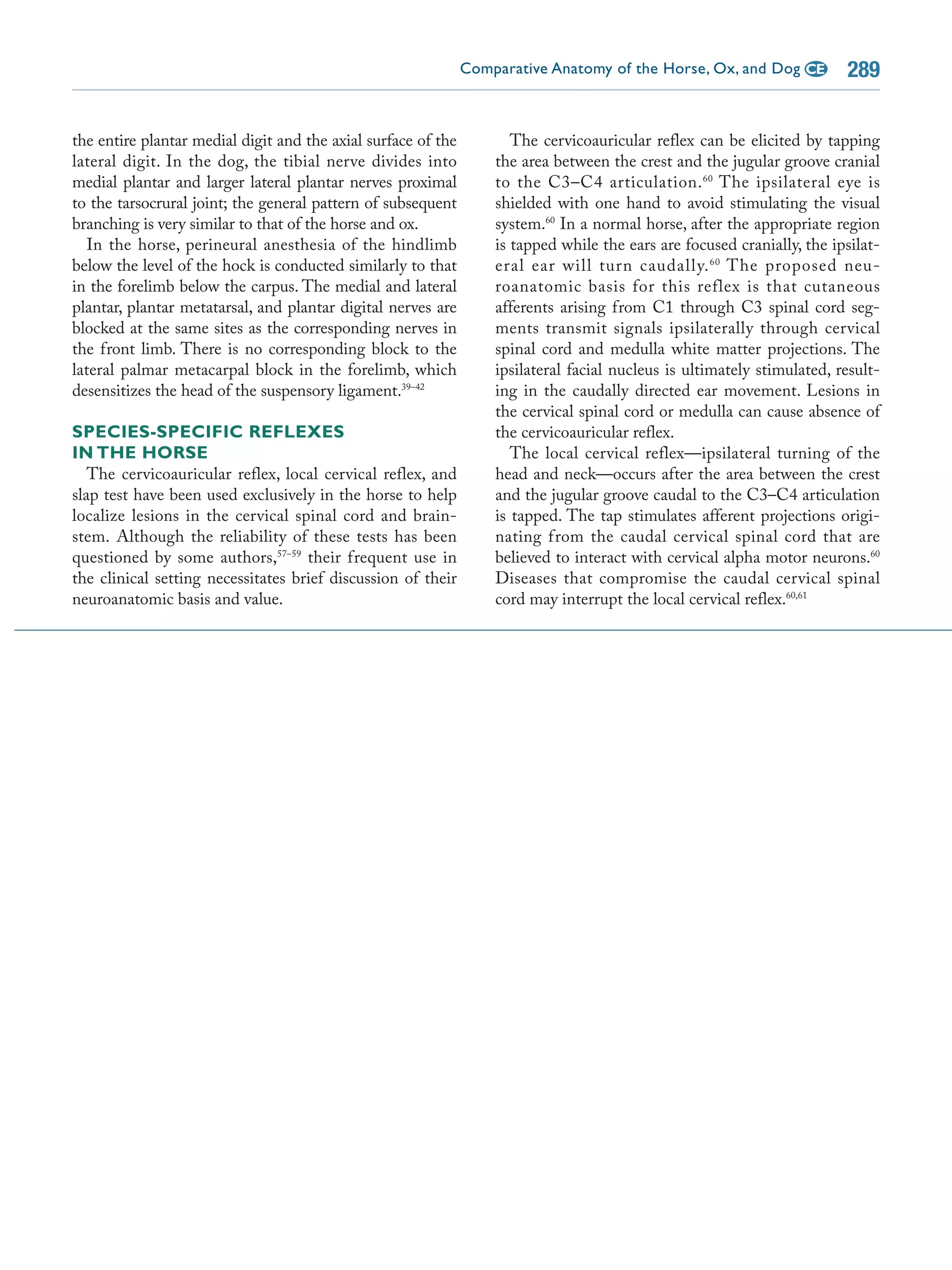 COMPARATIVE ANATOMY | PDF