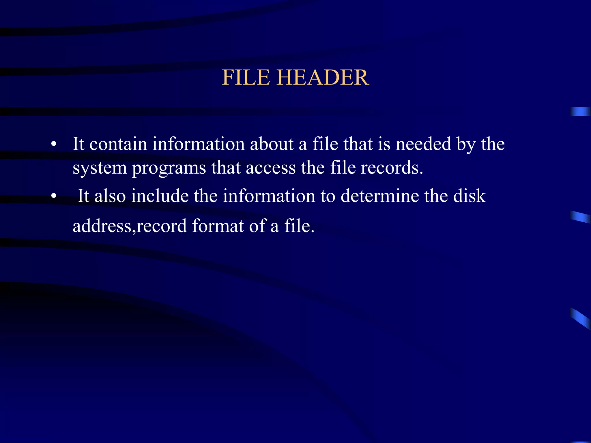 File records on disk | PPTX