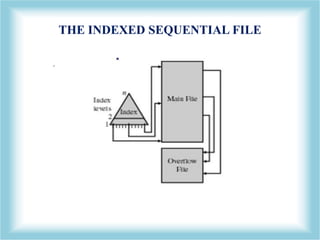 File Management | PPTX