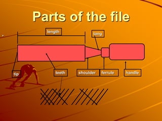 Files lesson | PPT