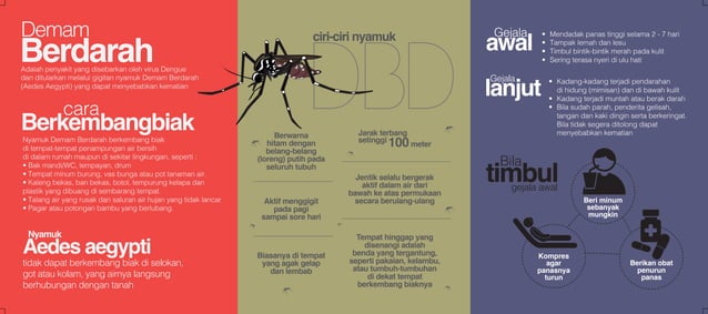 files21726Leaflet DBD 3M.pdf