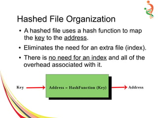 Files and data storage | PDF