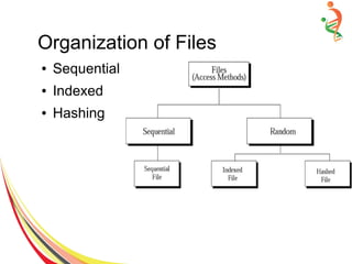 Files and data storage | PDF